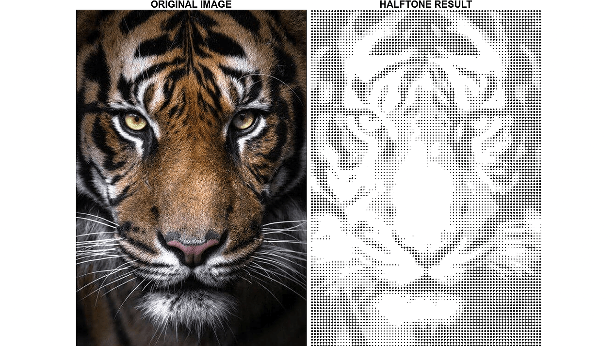 Pure CSS halftone portrait from .jpg source