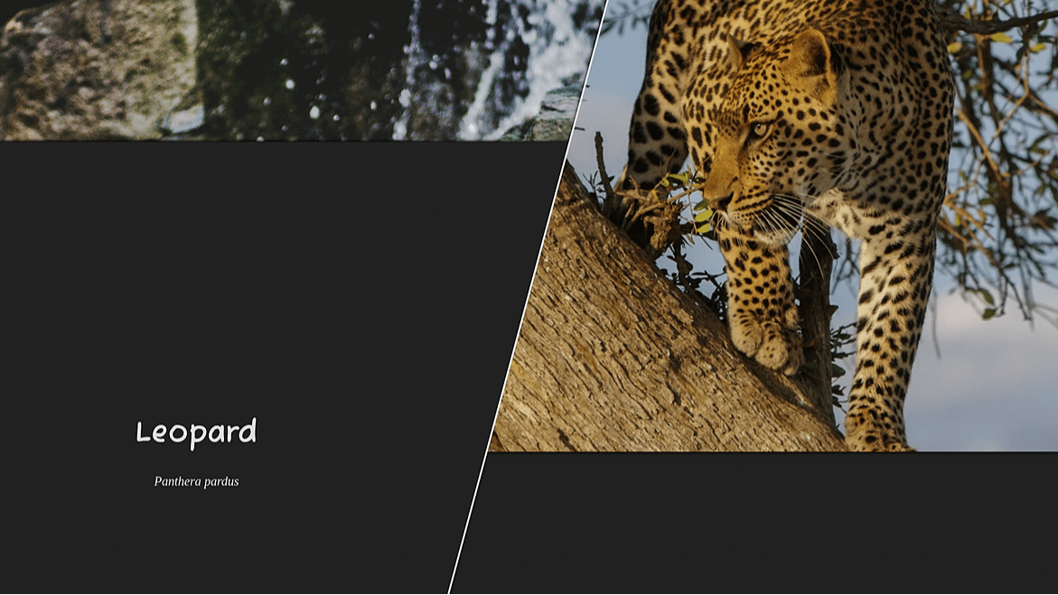 Pure CSS diagonal scroll reveal