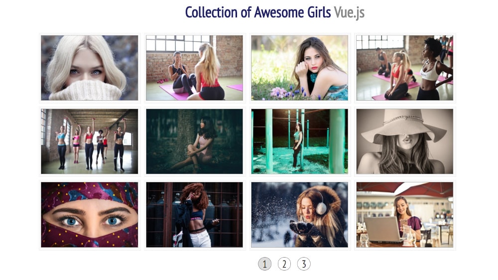 Vue.js gallery