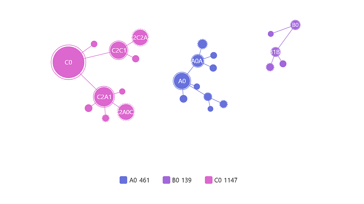 Force-directed chart with a legend