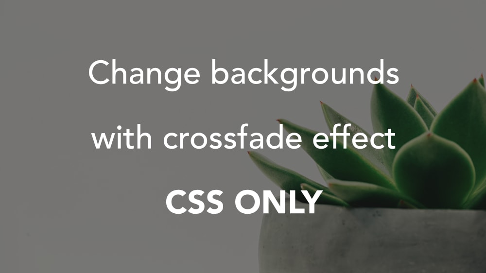 CSS Background Slideshow