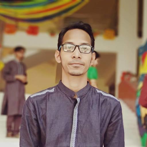 Showrin Barua On Codepen