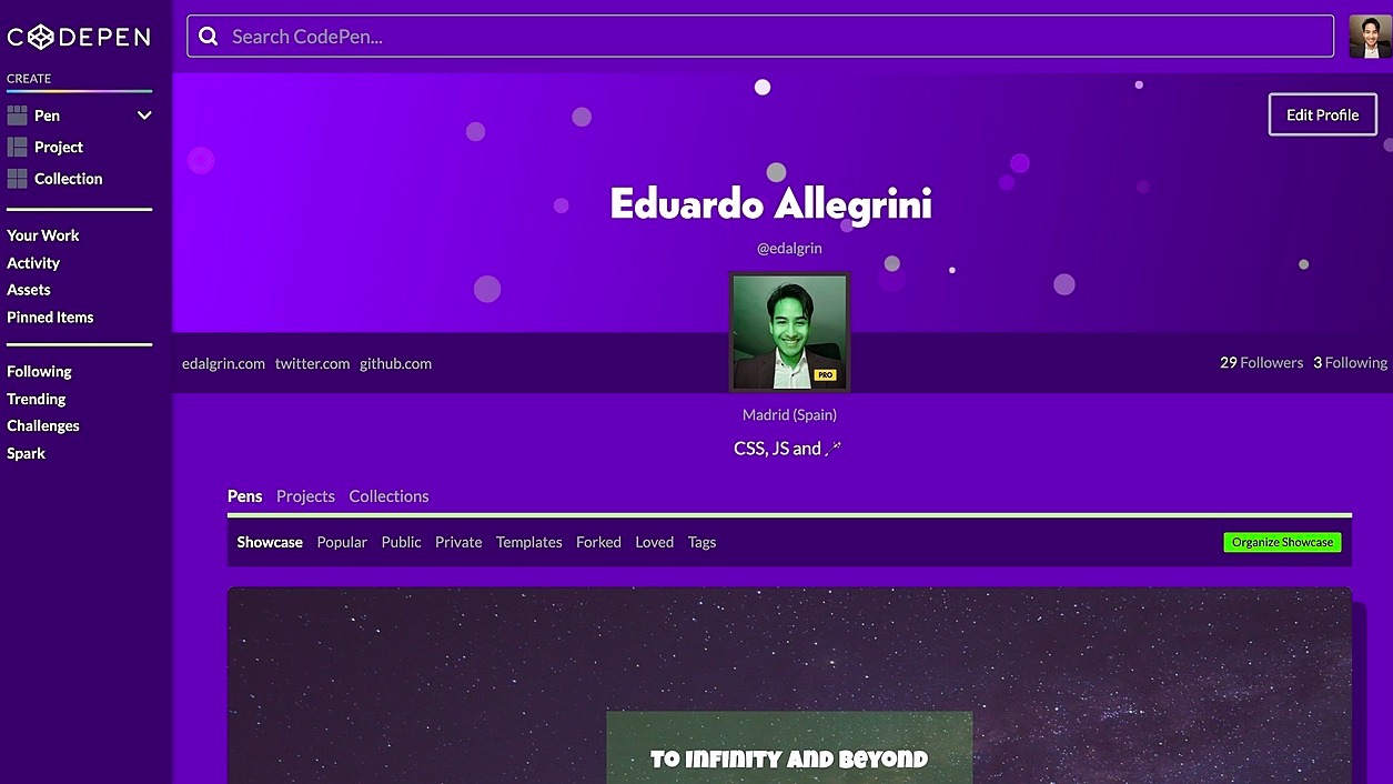 CodePenChallenge – Profile restyle