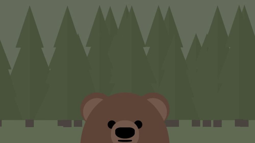 Pure CSS Bear Cub