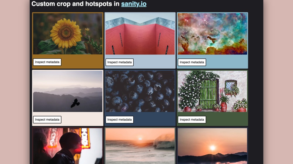Custom crop and hotspots in sanity.io